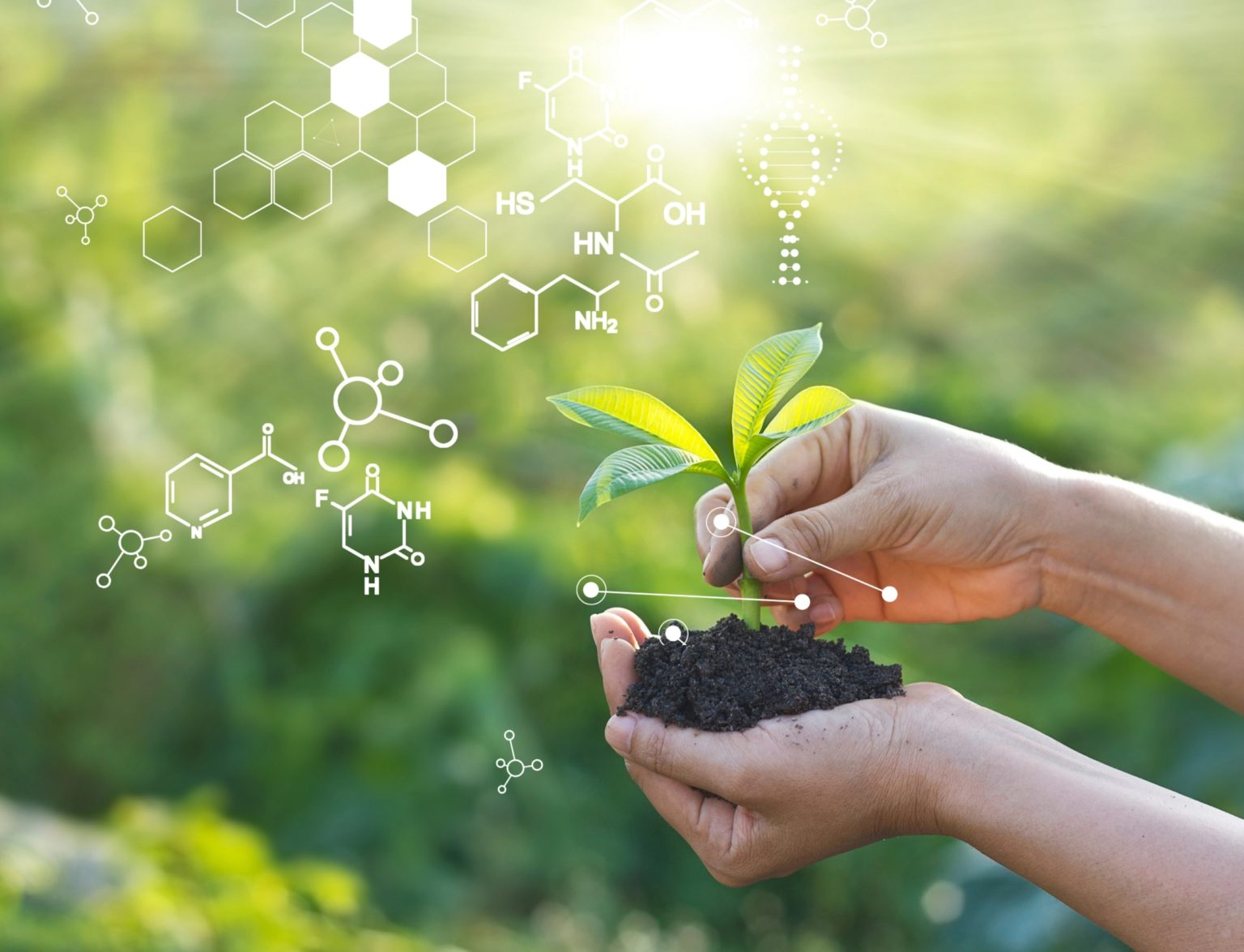 Aplantex | Innovative plant-based active compounds